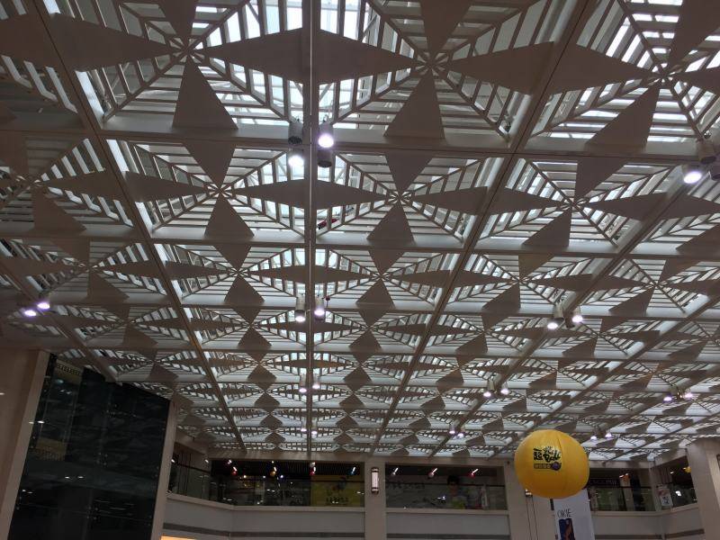 Stainless Steel Suspended Ceilings | Modern & Durable Ceiling Solution